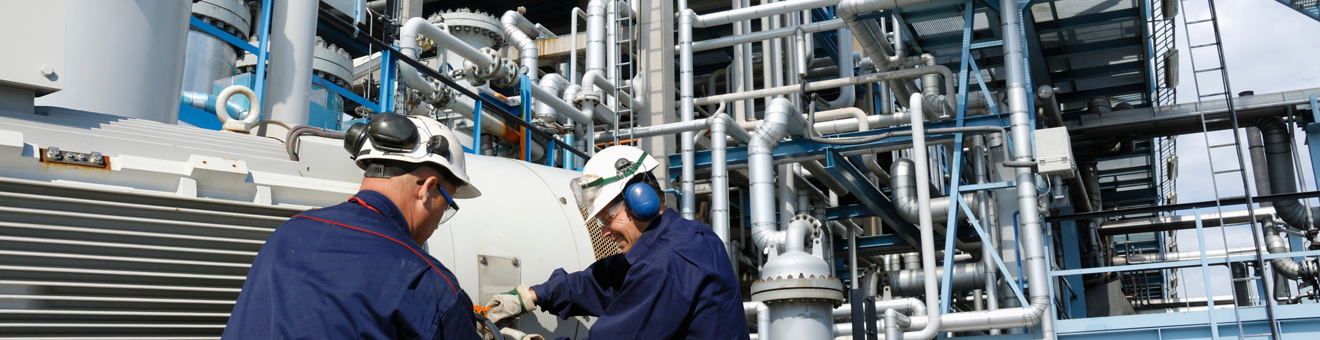 Emerson Automation Solutions Australia & New Zealand